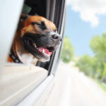 Convenience Services - FAA FCU